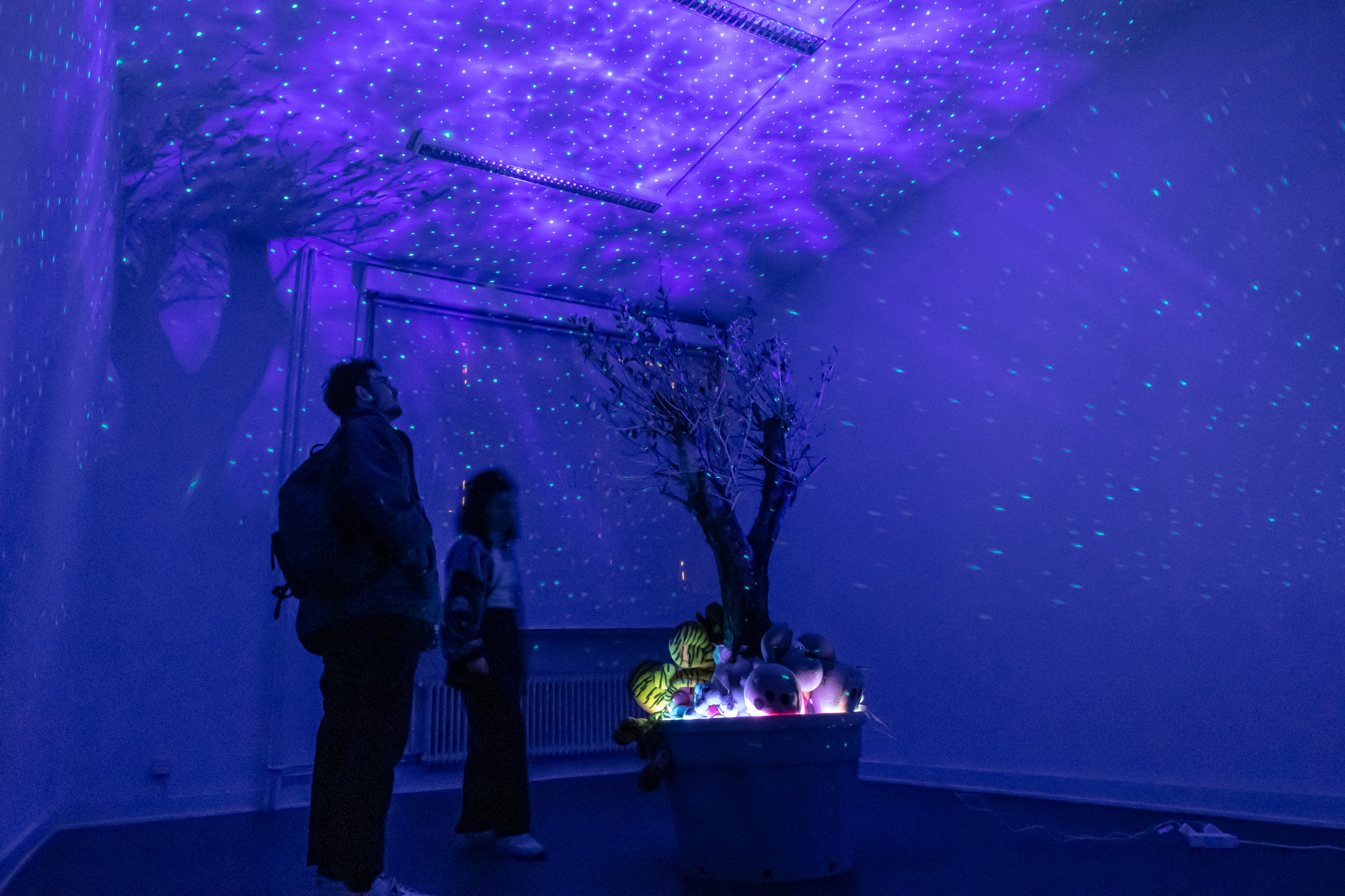 HFBK: Jahresausstellung